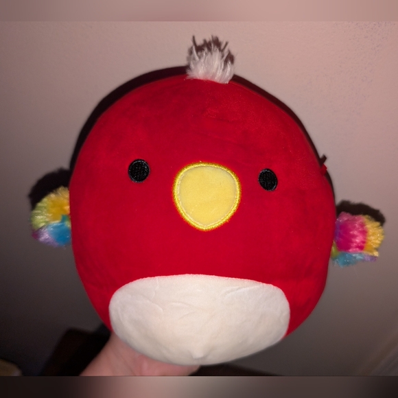 Squishmallows | Toys | Squishmallows 8 Paco The Parrot | Poshmark